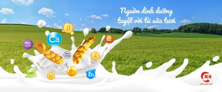 Trang chủ - SOLSE - Phô mai Hun khói