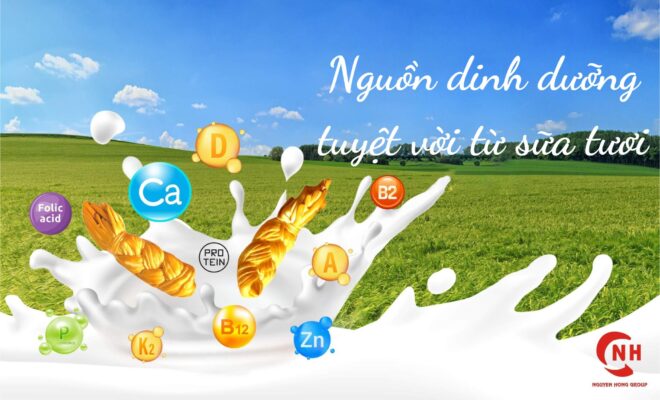 Trang chủ - SOLSE - Phô mai Hun khói